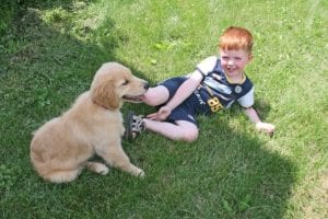 The Best Dog Breeds For ADHD Children (10 Best) - Kid Friendly Pets